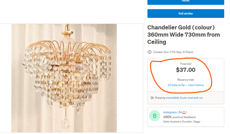 No bidding history available – Help - Trade Me